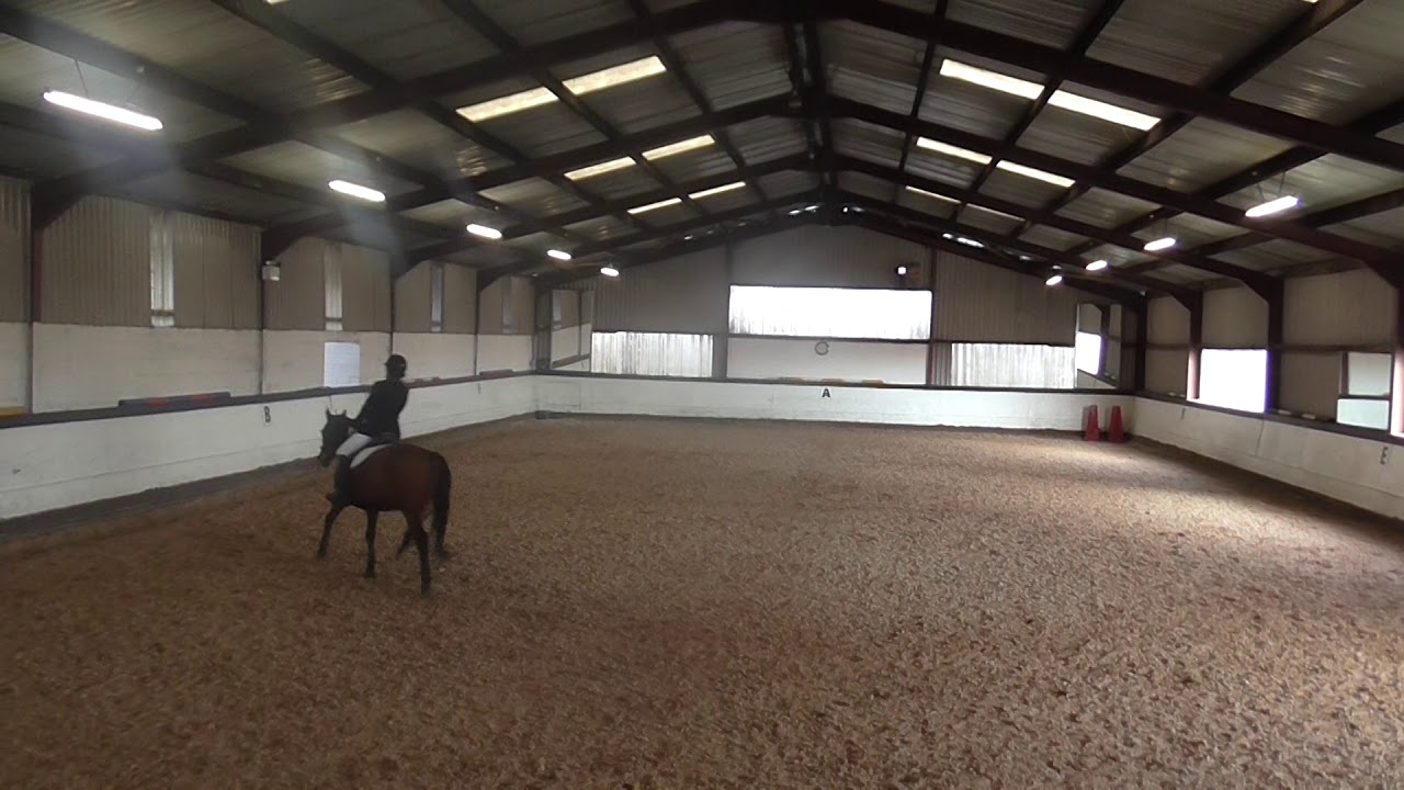 Maxine Claxton & Tango Croft End Equestrian Centre RS UK wtca13569 ...