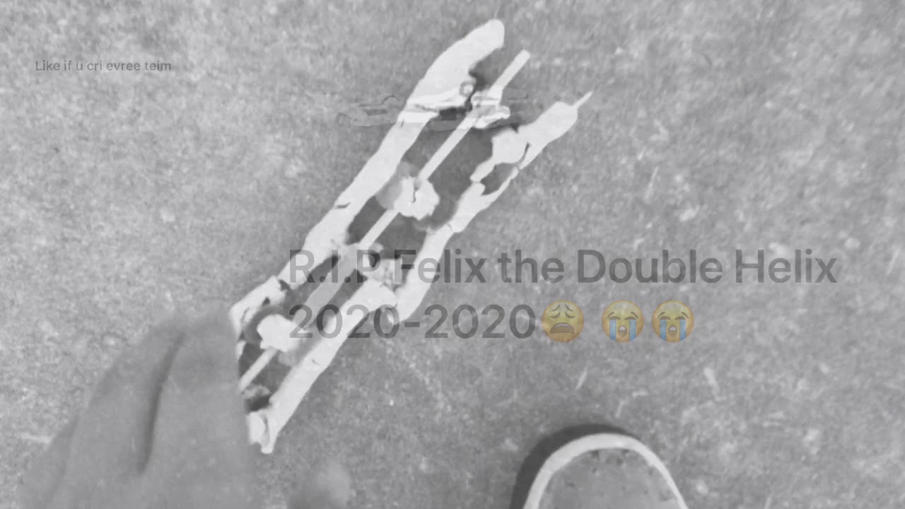The Death of Felix the Double Helix - YouTube