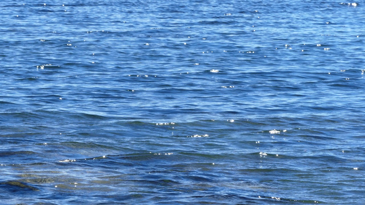 Blue sea in 4k free for your projects - YouTube