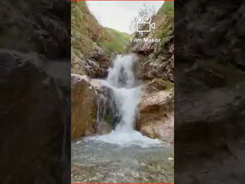 ЧАШМАИ ШИФОБАХШИ КАМАРОБ