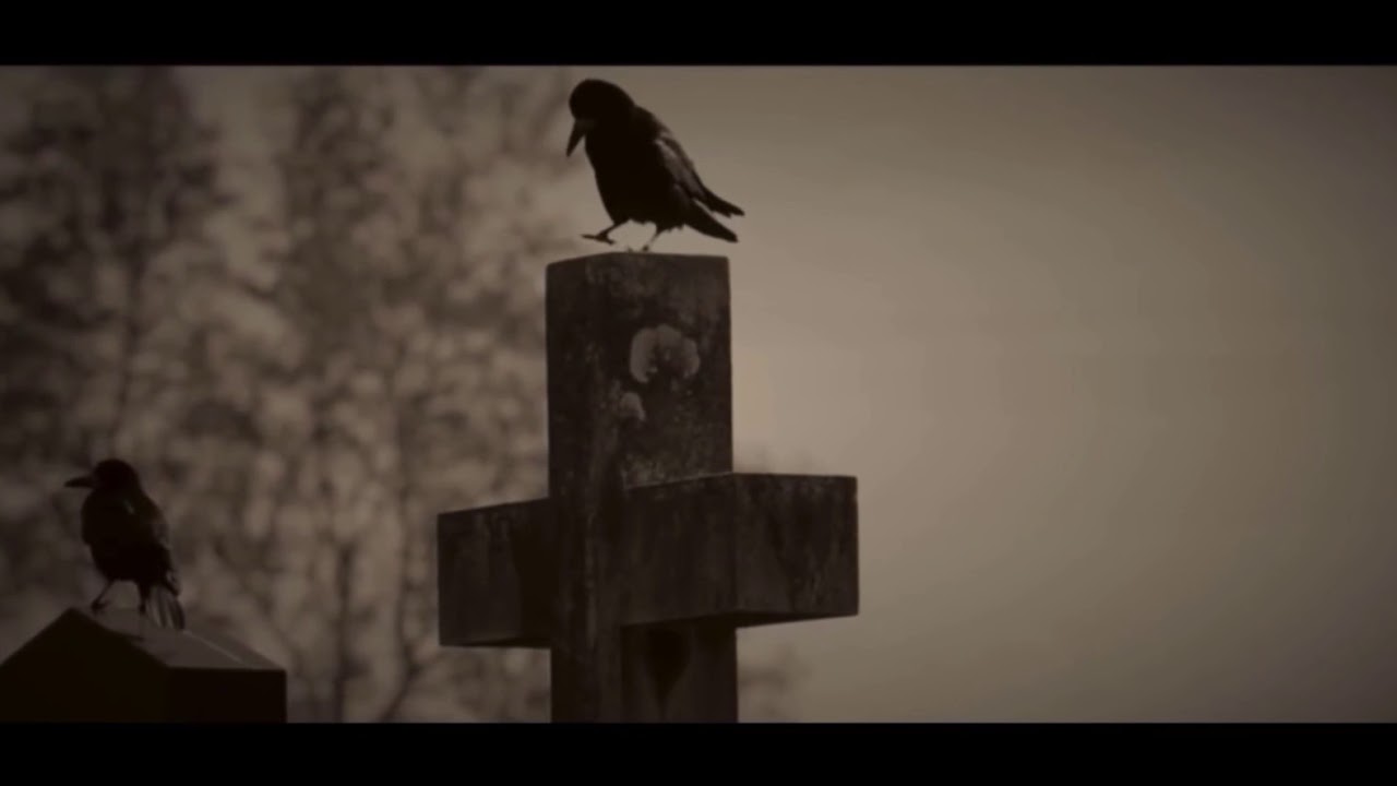 Welcome (Official Lyric Video) - Pablo Iranzo - YouTube Music