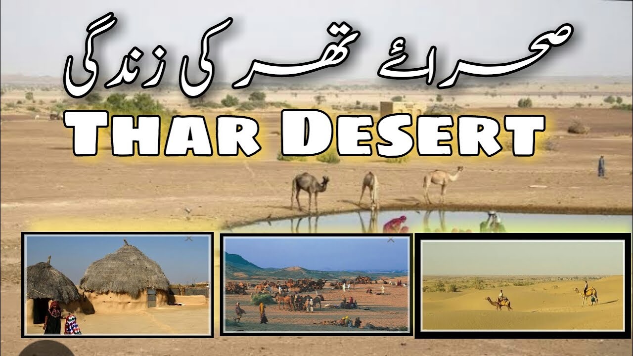 Thar Desert || life in Thar Desert || rural life in Thar desert - YouTube
