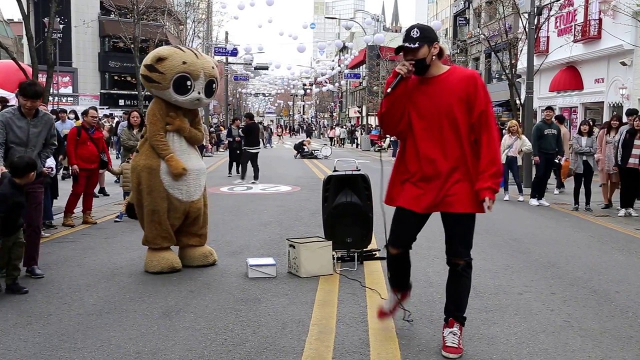 JHKTV] 명물고양이 와 디오비 special cat & dob introduce - YouTube