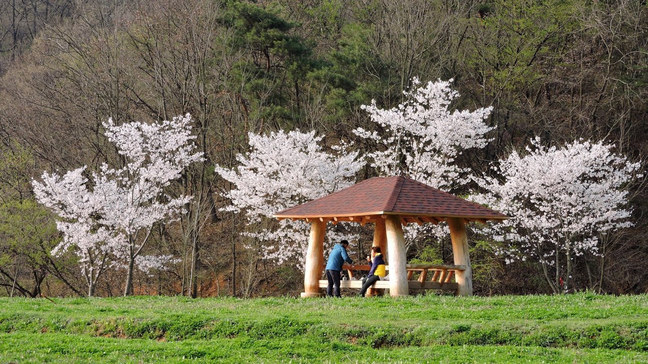 전주 자연생태체험학습장의 봄 Spring in Jeonju Natural Eco Experience Center - YouTube