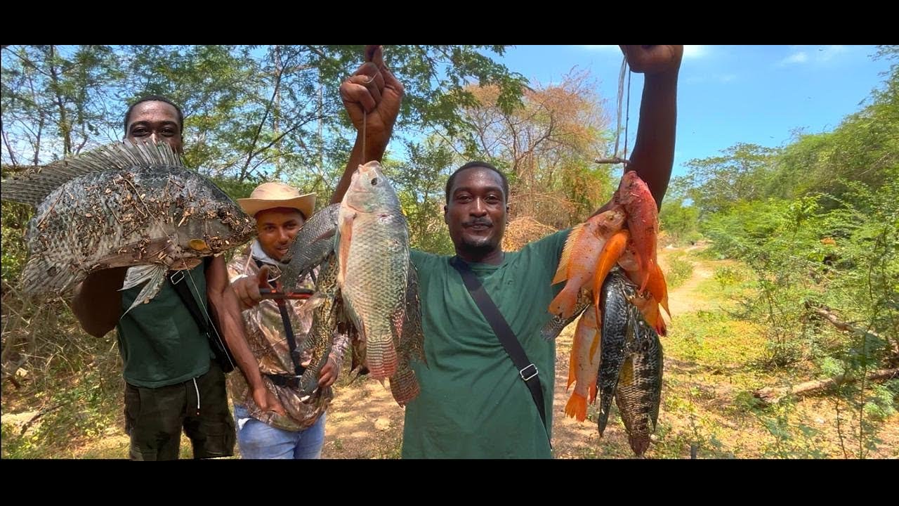 Slingshot Spearfishing vs hand lined epic hunting catch and cook - YouTube