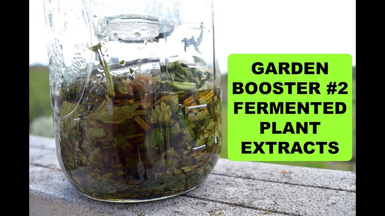 Garden Booster Workshop 2: Fermented Plant Extracts - YouTube