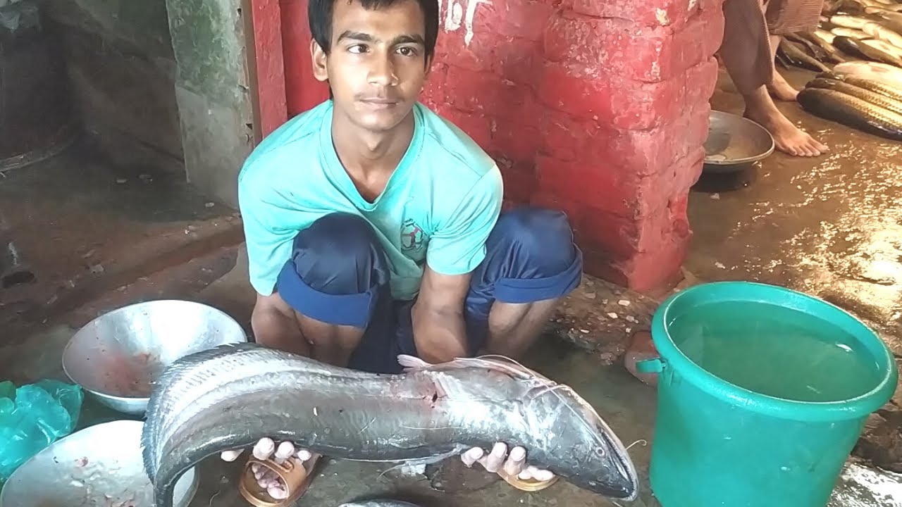 Huge Boal Fish Cutting Live In Bangladesh Fish Market - YouTube