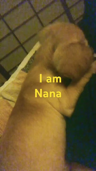 I am Nana - YouTube