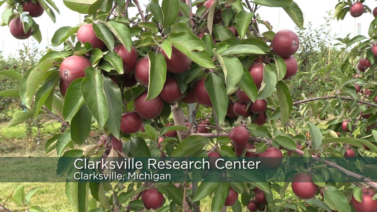 Christopher Gottschalk Clarksville Research Center - YouTube