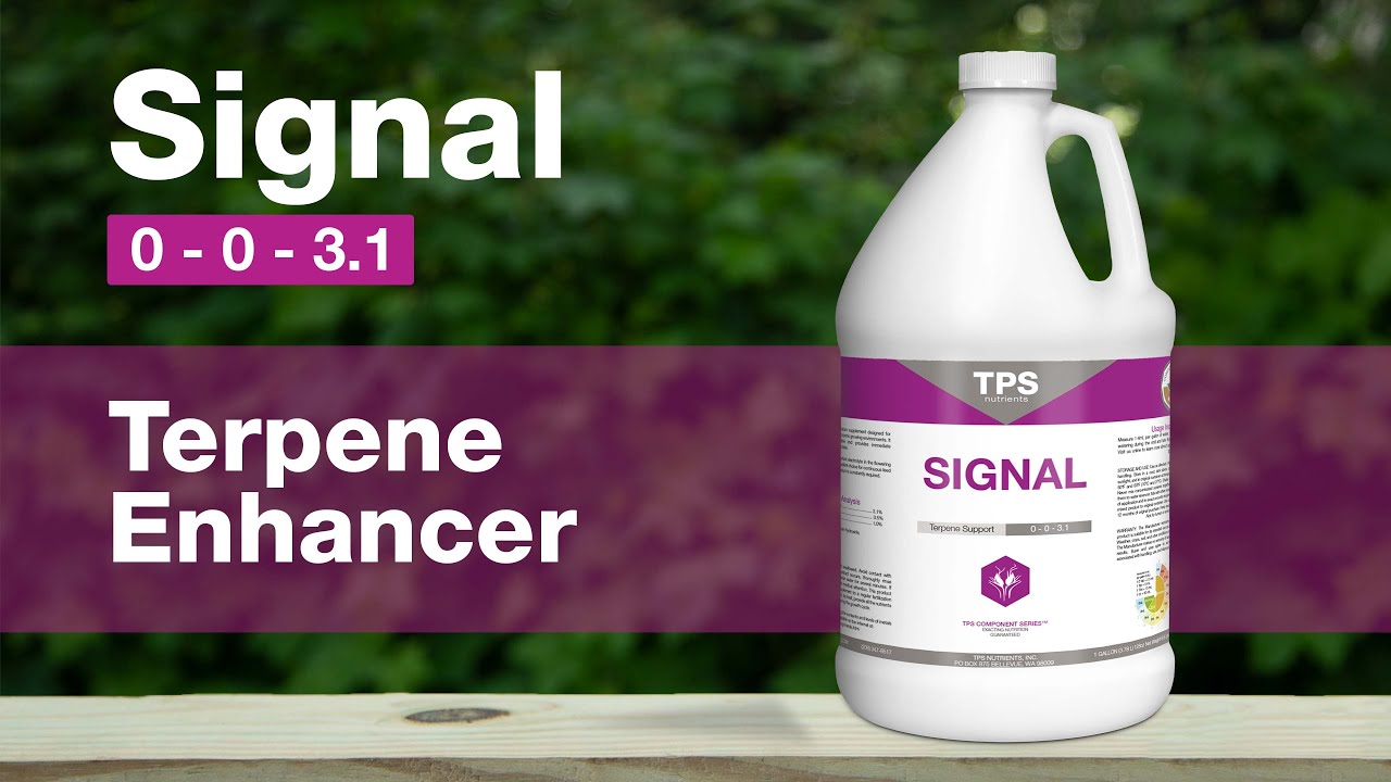 Signal by TPS Nutrients - Terpene Enhancer. - YouTube