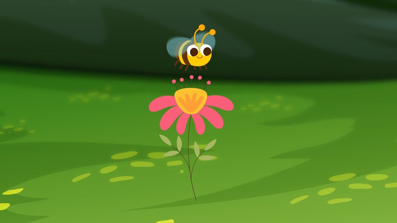 Flower and Bee Animation in After Effects - YouTube
