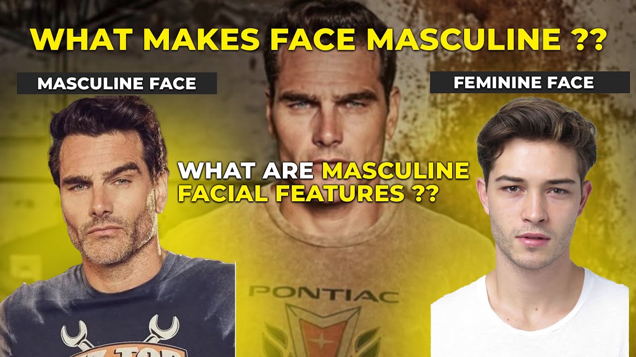 #blackpill What are masculine facial features ?? || what is dimorphic ...