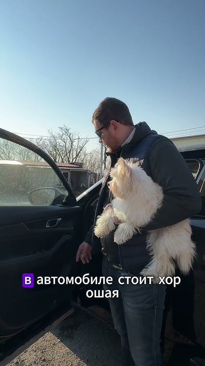 Changan UNI-K из Китая. Передний привод. Сколько стоит? # ...