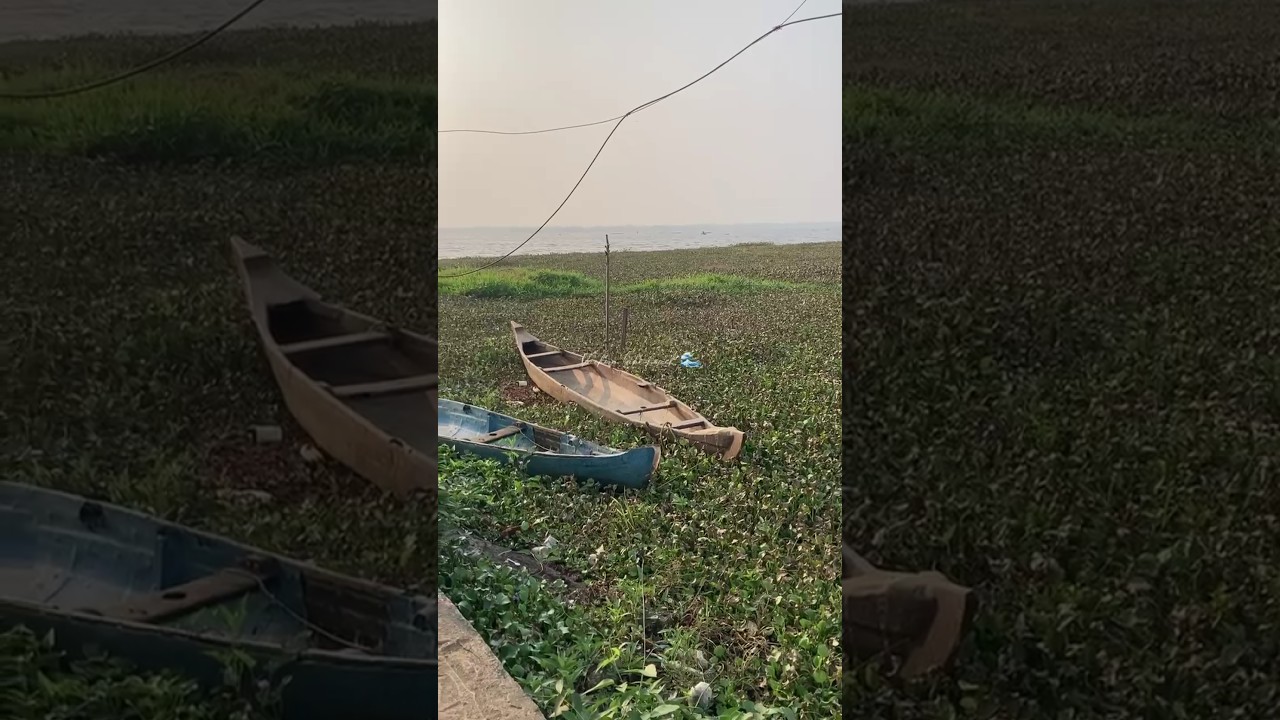Vaikom lake beach 🤍🌊 #vikom #lake #beach - YouTube