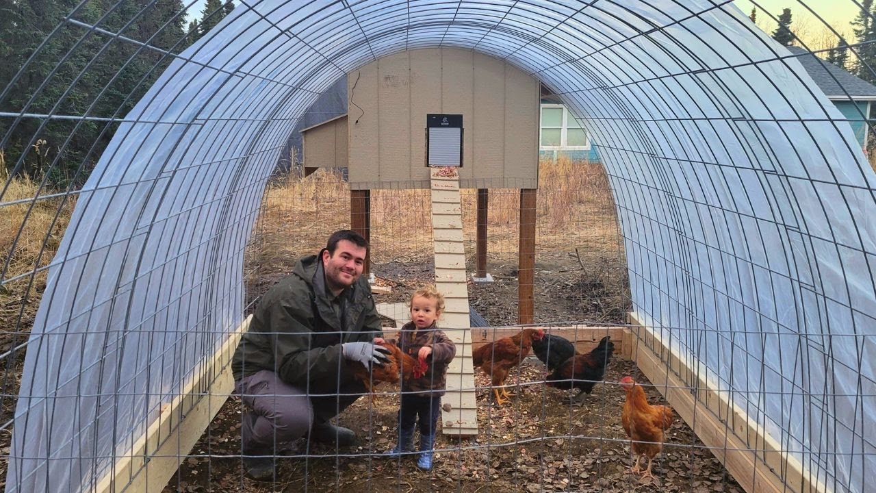 DIY Chicken Run | Finishing our Alaskan Chicken Coop Before Winter ...