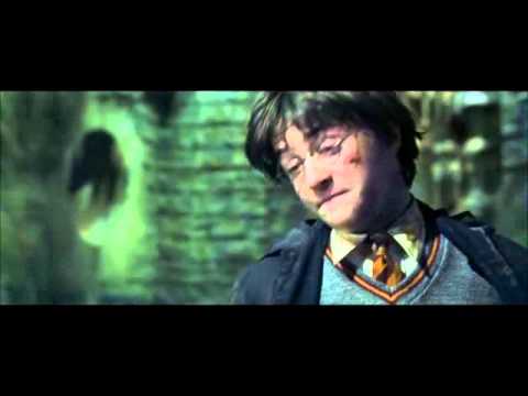 Tom Riddle death.wmv
