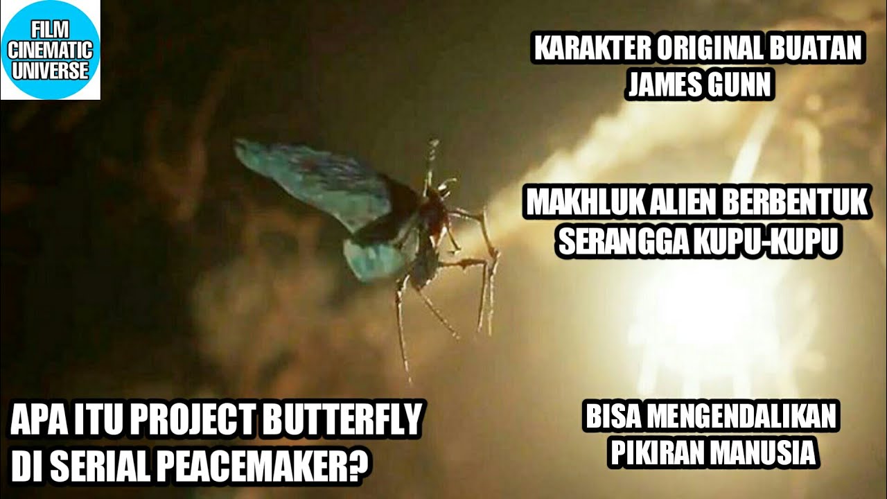 Penjelasan tentang Project Butterfly di serial Peacemaker. - YouTube