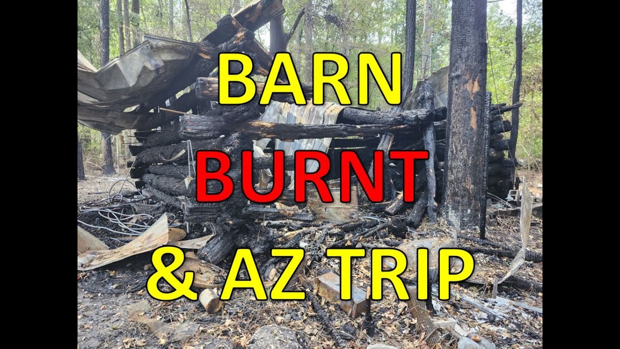 Burnt Barn Take 2 & Arizona Move Live - YouTube