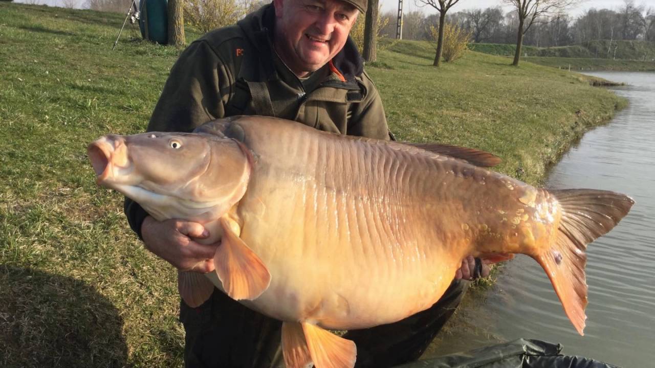 Ep 185 Warren Harrison, Record Carp - YouTube