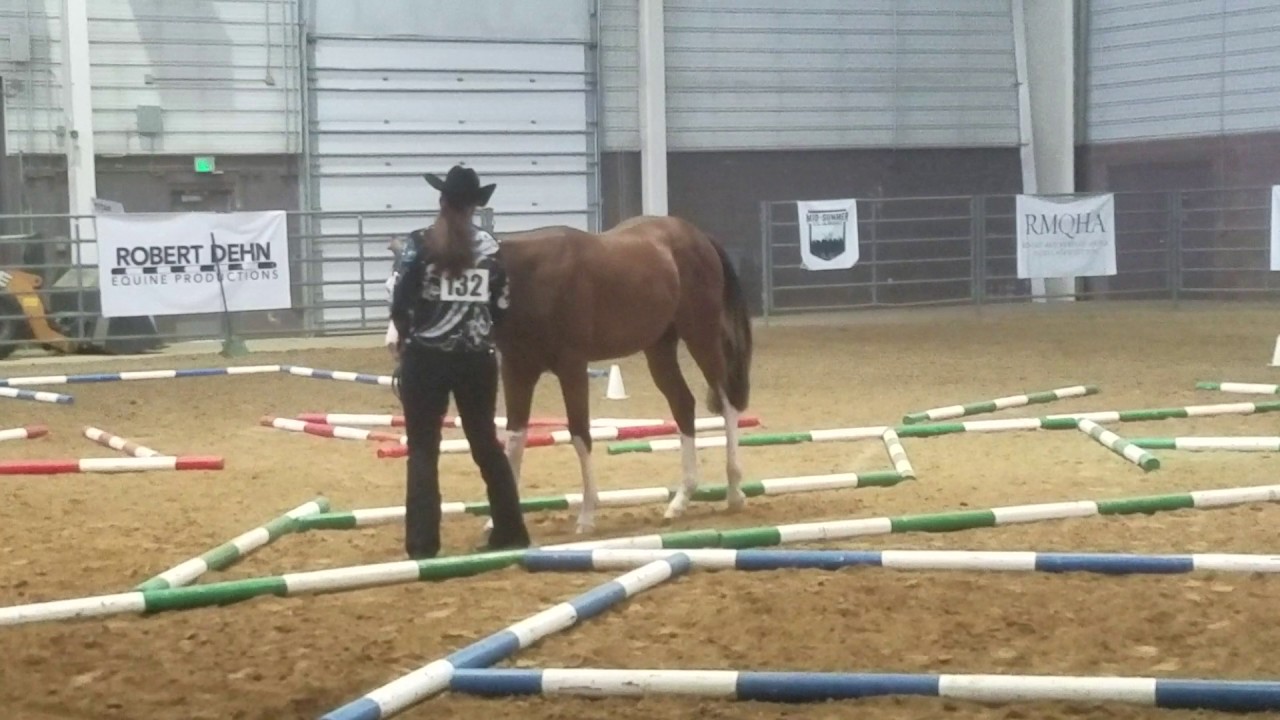 Willow NSBA In-Hand Trail (class 2) - YouTube