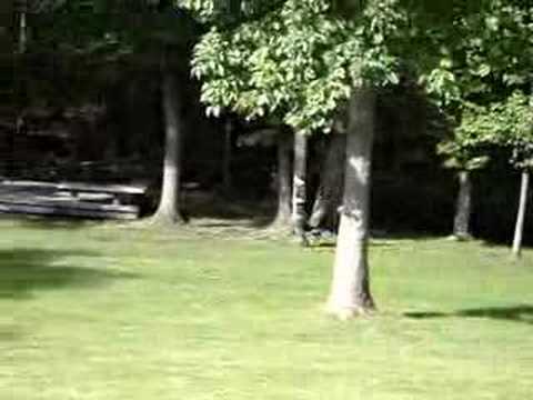 Fat Man running after paintballer - YouTube