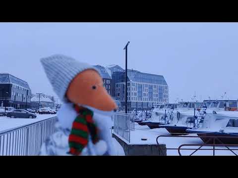 Архангельск истории йод и водоросли. - YouTube