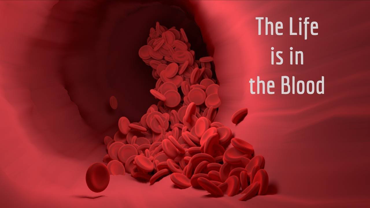 The Life is in the Blood: Leviticus 17 - YouTube