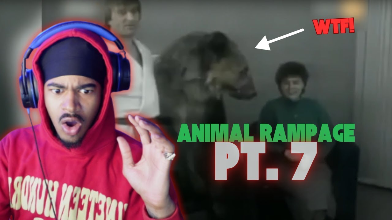 Animals On a RAMPAGE pt 7 - YouTube