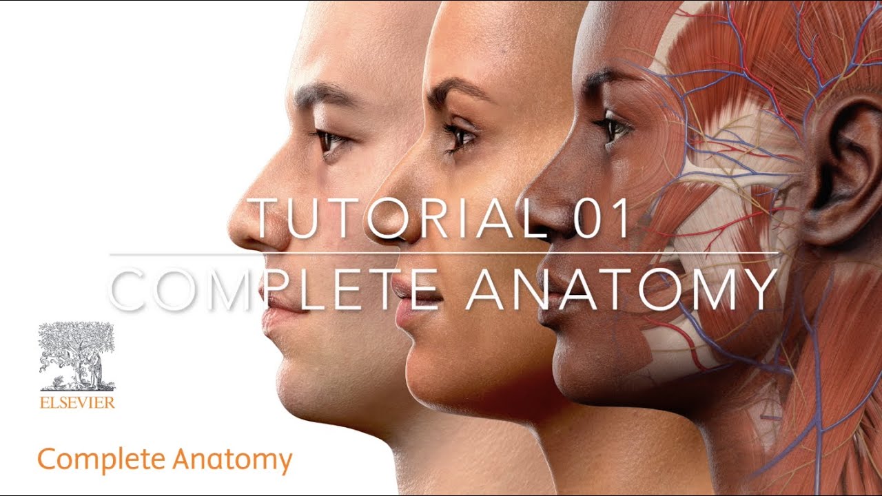 01 COMPLETE ANATOMY - YouTube