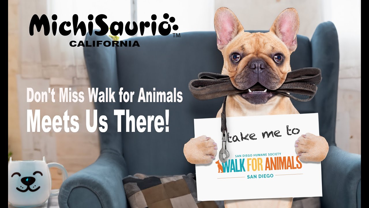 Can't-Miss Event: Walk For Animals on May 4th! - YouTube