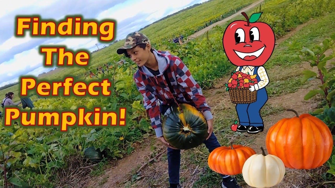 Finding the Perfect Pumpkin ║Josh&Sarah ║HalukayTV ║Josh&Sarah ...