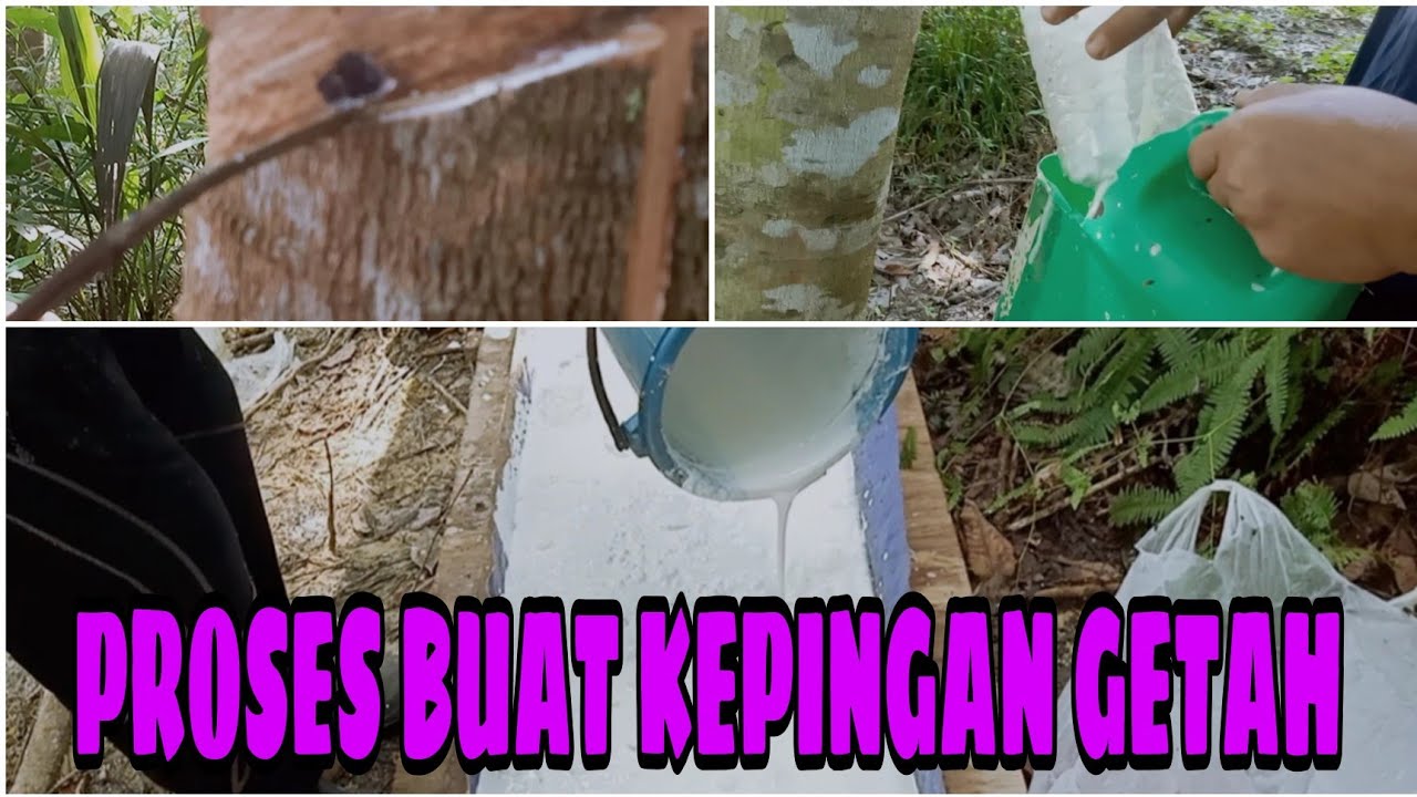 Langkah cara membuat kepingan getah. - YouTube