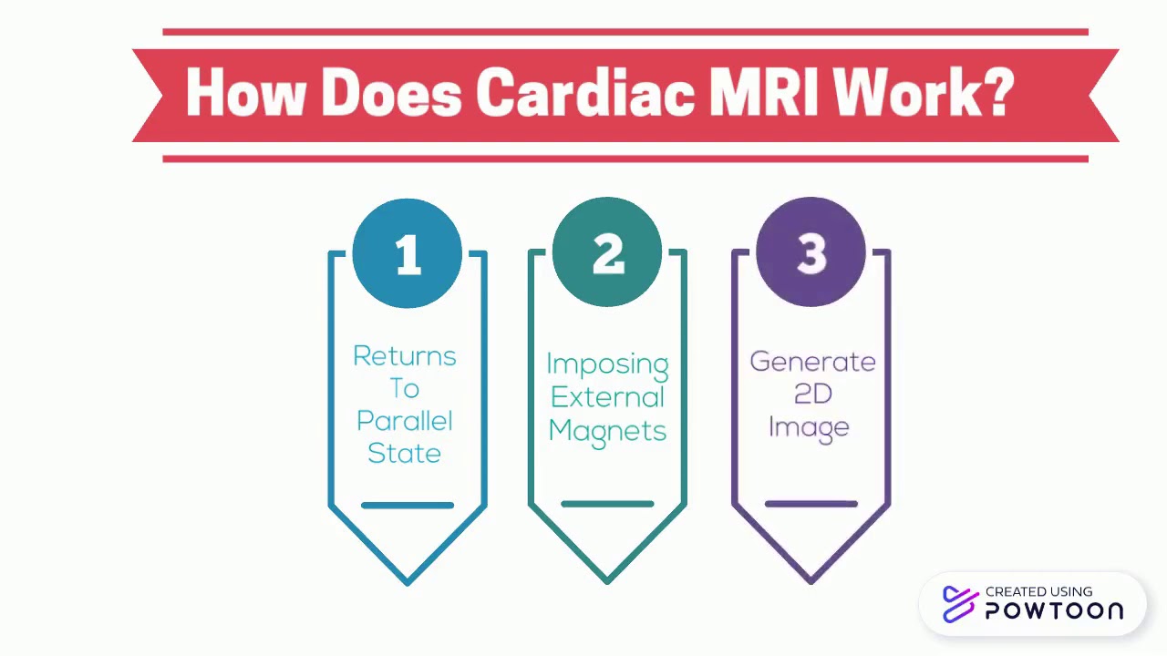 How Does Cardiac MRI work - YouTube