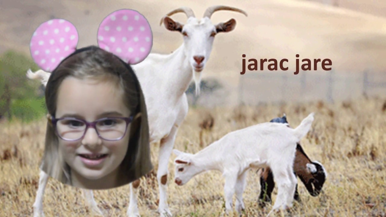 Brzalice na hrvatskom jeziku - YouTube