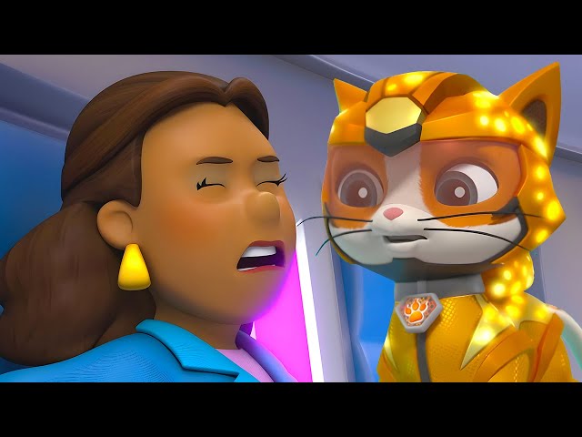 SAVING THE MAYOR! 😦 😬 | PAW PATROL | WildBrain Kids - Videos For Kids