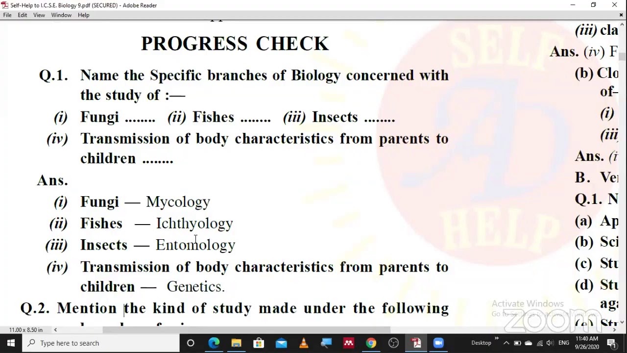Basic Biology(Basics of Biology discussed in this class) - YouTube