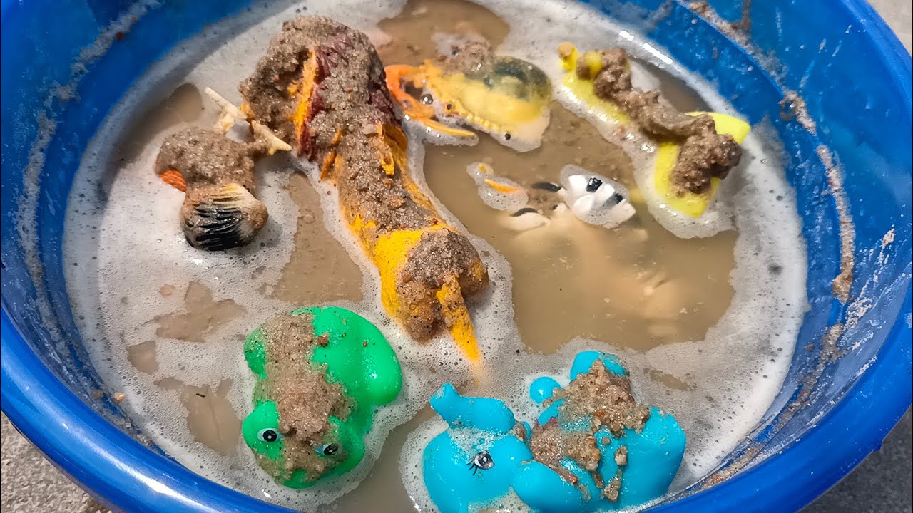 Cleaning Zoo animals toys - Clean the animals - YouTube