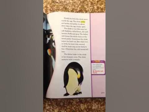Grade 3 reading street Penguin chick - YouTube