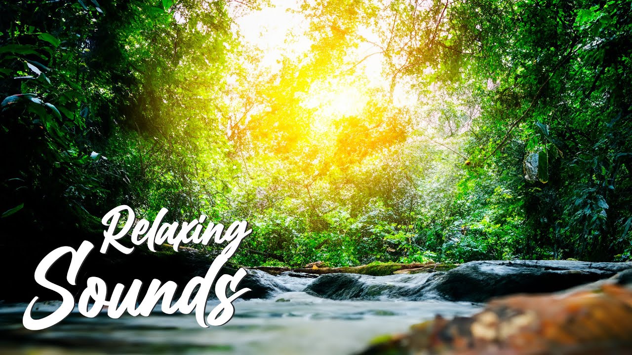 Relaxing Music - Reduce STRESS, help you SLEEP and CALM down - YouTube