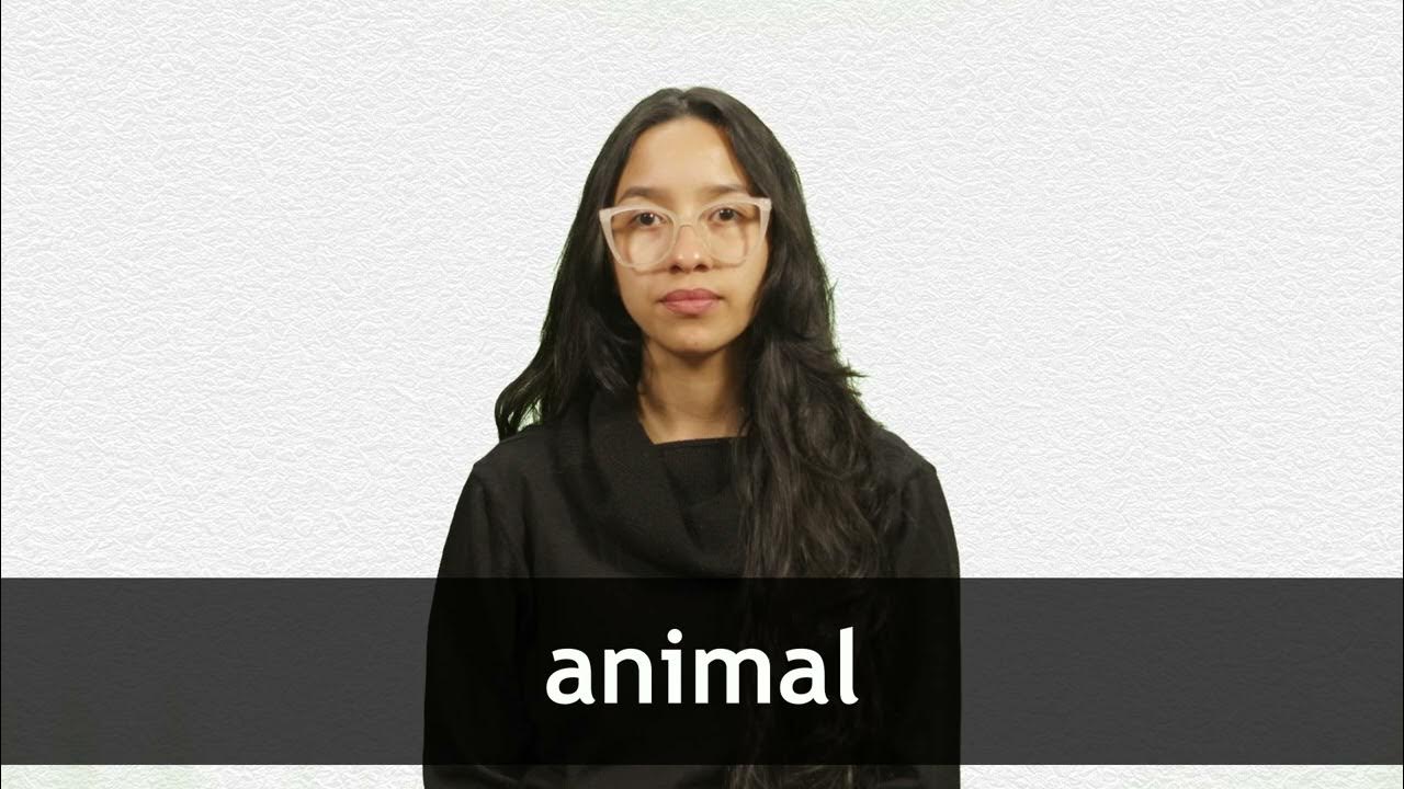 How to pronounce ANIMAL in Latin American Spanish - YouTube