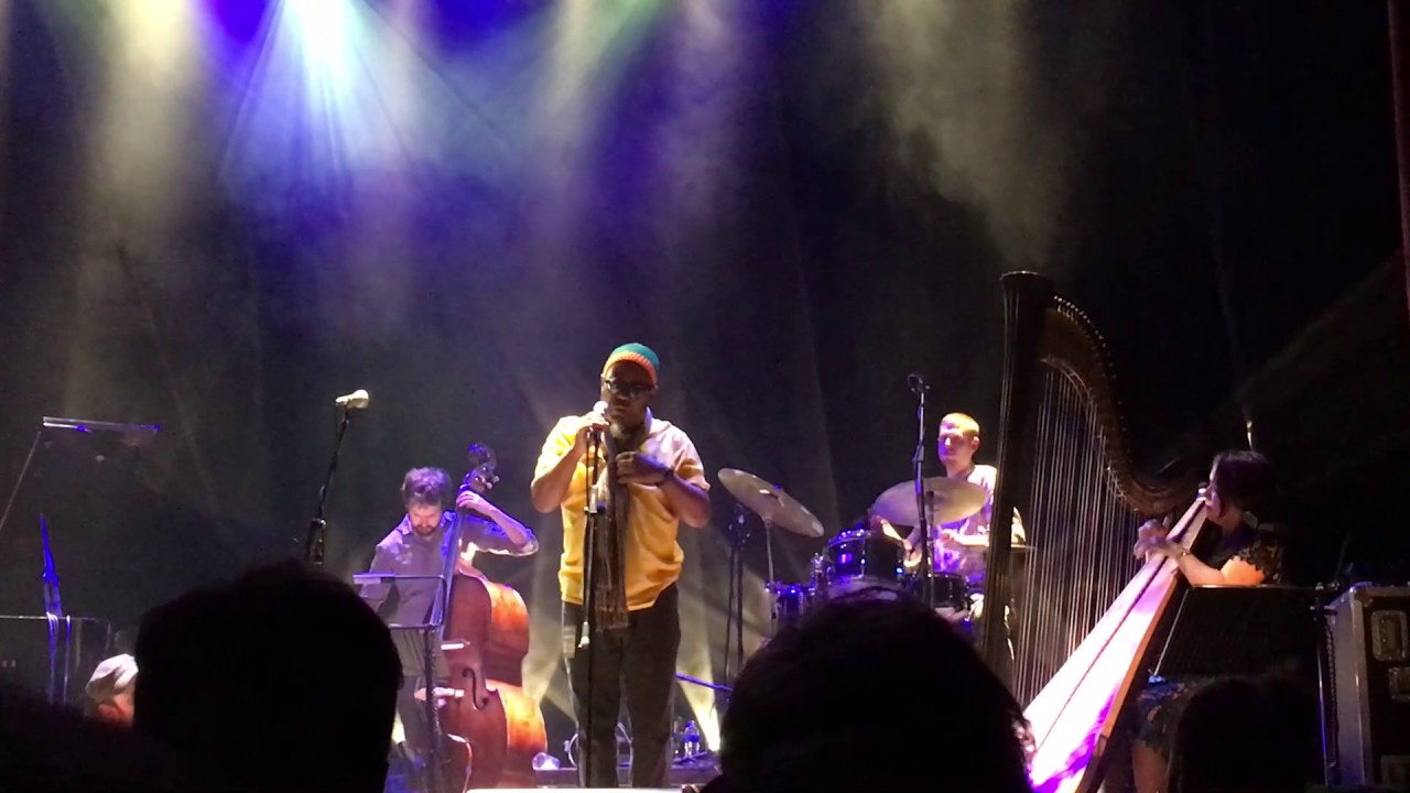 MATTHEW HALSALL & THE GONDWANA ORCHESTRA feat: DWIGHT TRIBLE ...