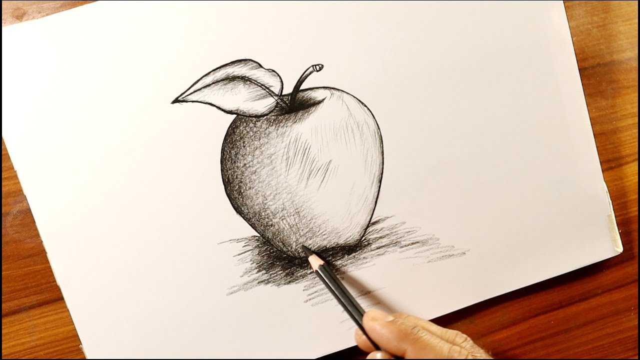 How to draw Apple | Pencil sketch drawing An Apple | Apple easy drawing ...