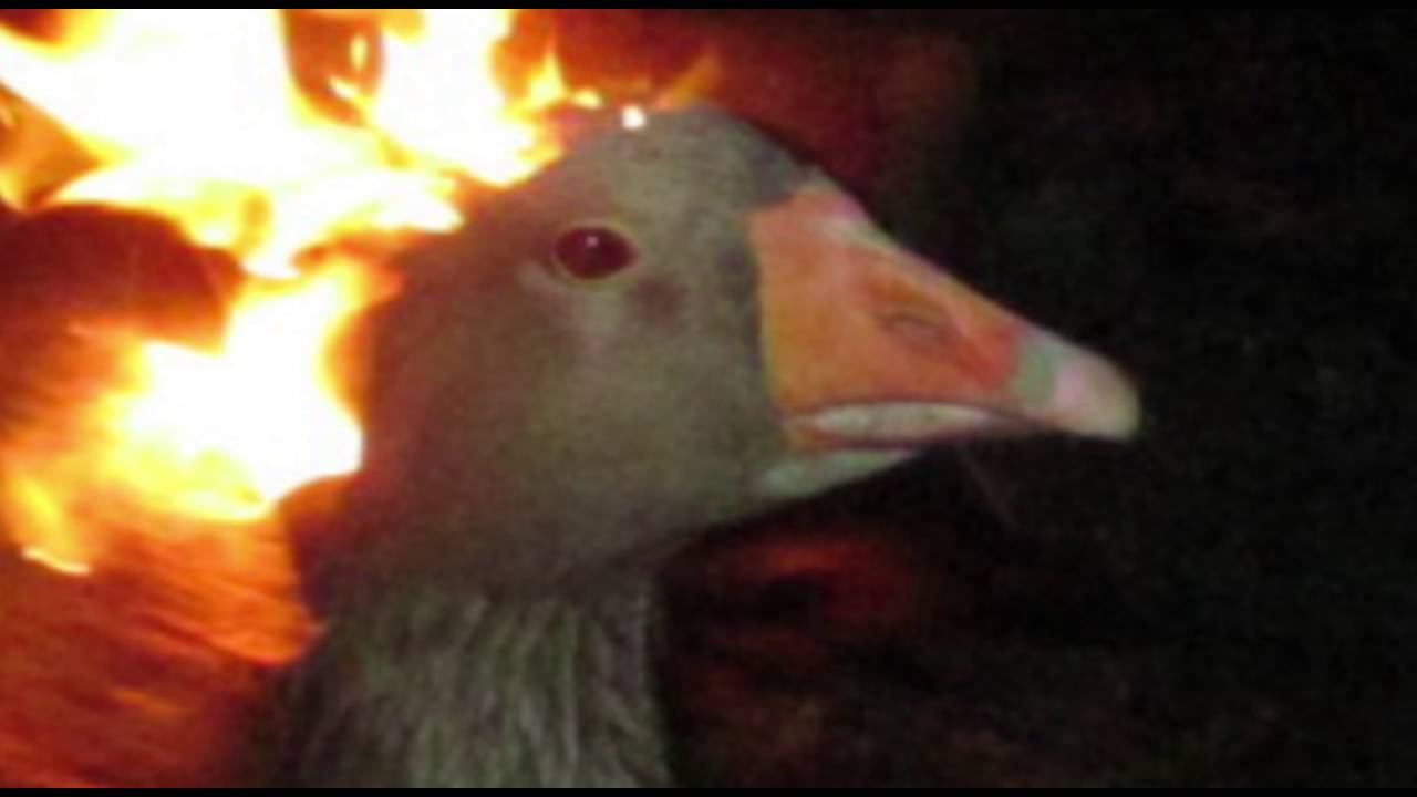 FLAMING GOOSE W/ BADASS MUSIC - YouTube