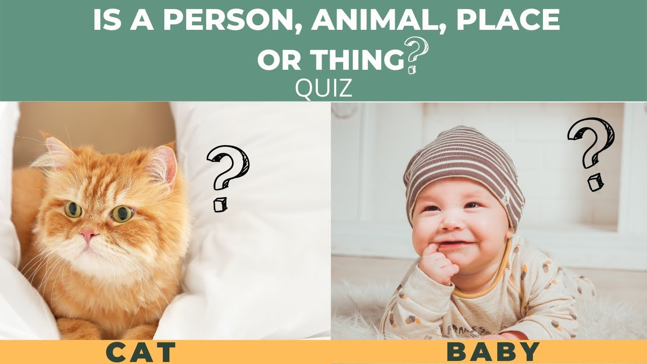Is a Person, Place , Animal or Thing Quiz| Identifying Common Nouns ...