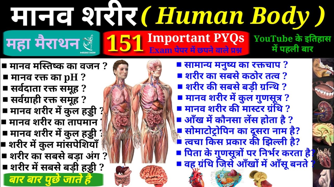 Science Gk in Hindi | मानव शरीर | Human Body | Vigyan Questions answer ...