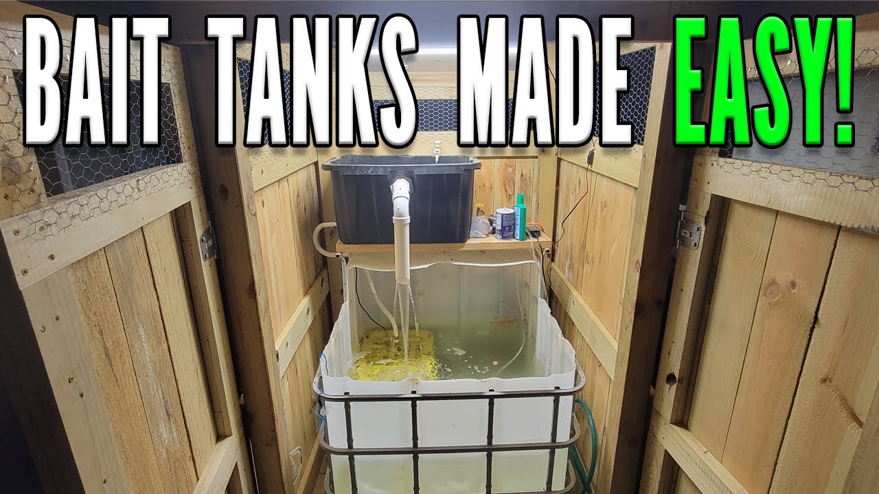 Bait Tanks 101: Everything You Need To Know! - YouTube