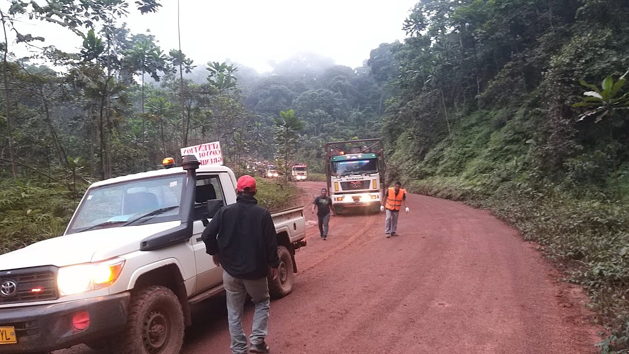 CONVOI LOGGING TRUCK AFRIKA YANG PENUH RINTANGAN...#pejuang devisa#🇬🇦🇬🇦 ...