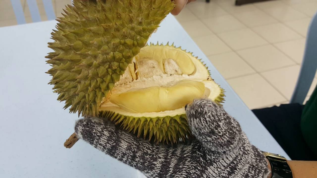 Golden Phoenix Durian at Sinnaco Durian Specialist SS19 Malaysia Part 2 ...