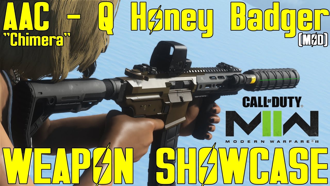 Fallout 4: AAC - Q Honey Badger - Modern Warfare 2022 - Weapon Mod ...