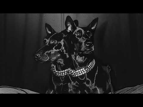 NTO 🔗 Sofiane Pamart - Dobermann (Visualizer)